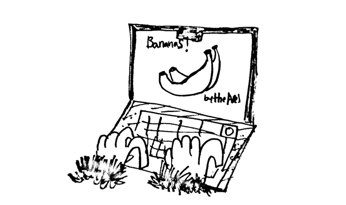Web design Basics - The Apes Web design Basics - The Apes